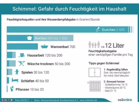 Infografik Feuchtigkeit in der Wohnung - ÖkoPlus